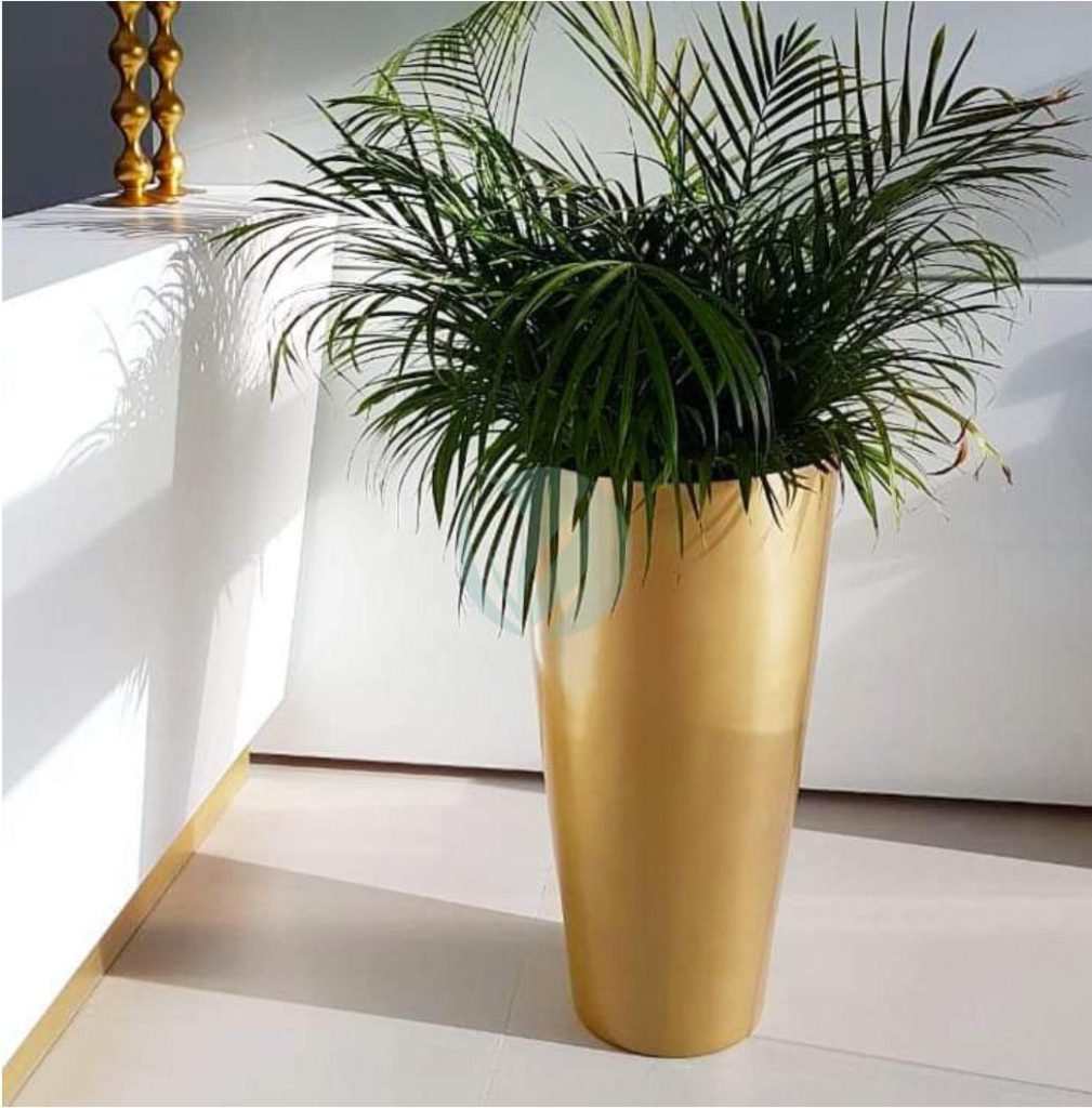 Pot conique P-13 - Clorofila